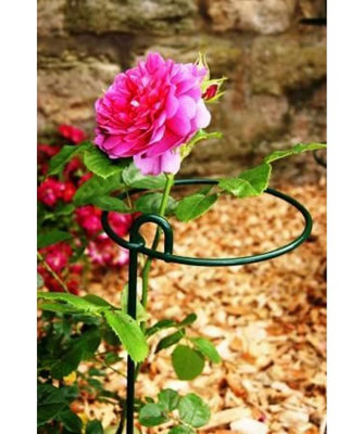 Large Bunch Support Rust (Pack of 4) - Steel - L30.5 x W30.5 x H86 cm ...