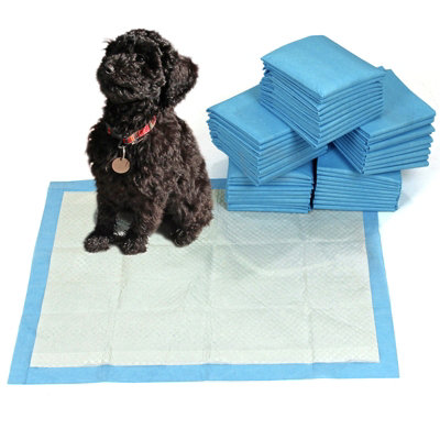 Puppy Toilet Training With Pads
