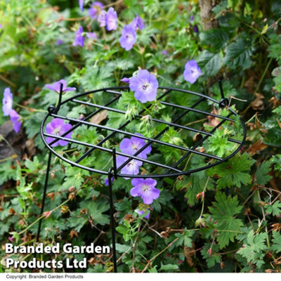 Large Round Grow Through Grid Support H76 x W50 x D50cm x 5 | DIY at B&Q