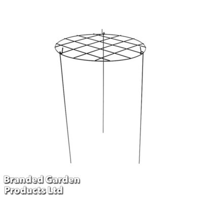 Large Round Grow Through Grid Support H76 x W50 x D50cm x 5 | DIY at B&Q