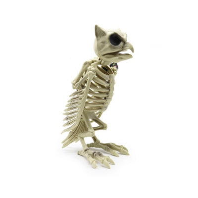 Large Skeleton Animals 33cm Owl