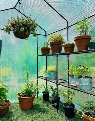 LARGE WALK-IN GREENHOUSE WITH 8 SHELVES & 2 WINDOWS, COLD FRAME WITH ...