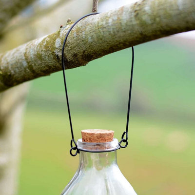 Large Wasp Catcher Glass Bottle Traditional Outdoor Garden Pest Control ...