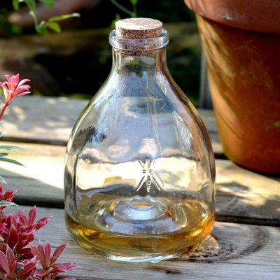 Large Wasp Catcher Glass Bottle Traditional Outdoor Garden Pest Control ...