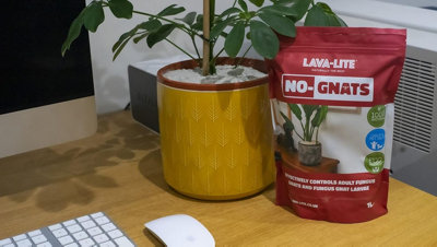 Lava-Lite No-Gnats Natural House Plant Fungus Gnat Control Child & Pet ...