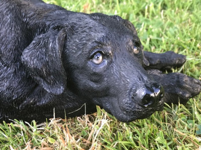 Laying Black Labrador figurine, large (44cm long) realistic home or ...