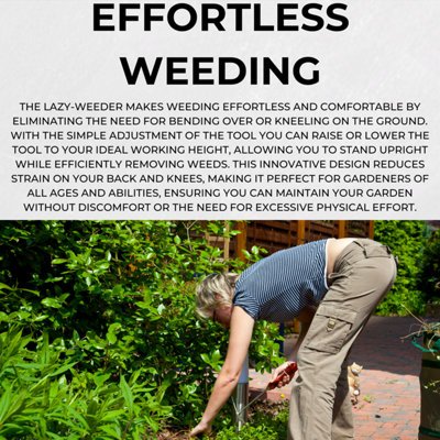 Lazy-Weeder Cordless Weed Remover Brush Tool - Moss Patio Block Paving ...