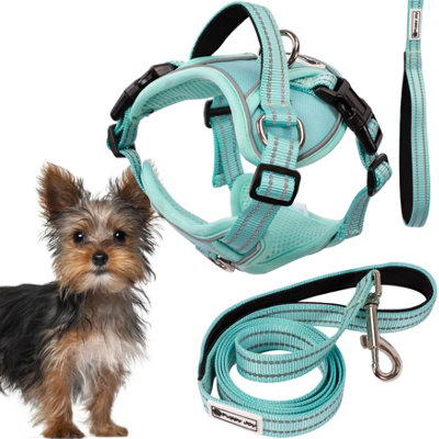 LEASH AND HARNESS TUTUMI PJ-049 GREEN XS