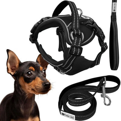 LEASH AND HARNESS TUTUMI PJ-051 BLACK S