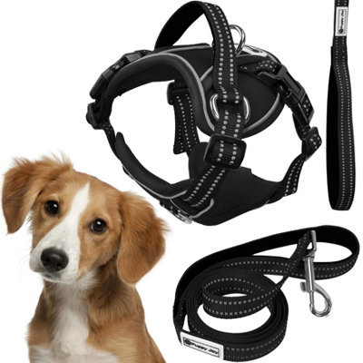 LEASH AND HARNESS TUTUMI PJ-055 BLACK M