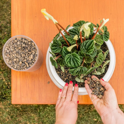 Leca Horticultural Grit - Improves Outdoor Garden Soil and Potting Mix ...