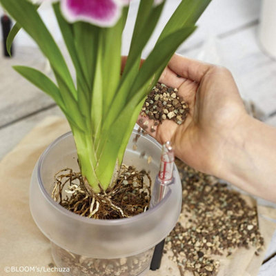 LECHUZA ORCHIDPON Orchid Potting Mix Organic Peat-Free Orchid Compost 6 ...