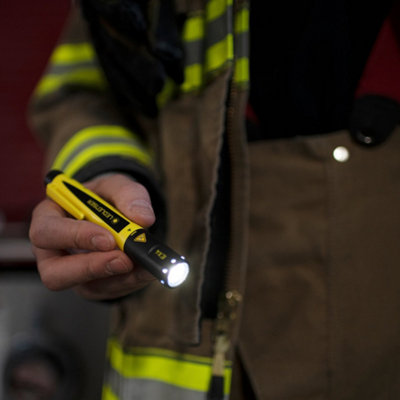 Ledlenser EX4 AAA Battery 50 Lumen ATEX Zone 0/20 Hand Torch for ...
