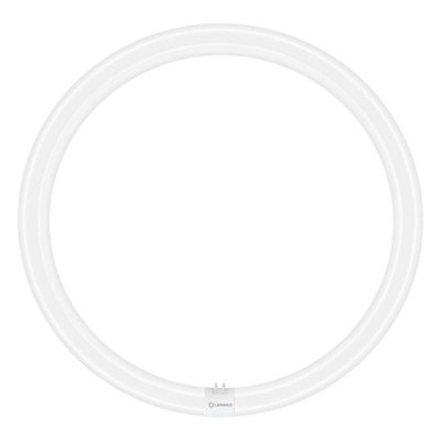 Ledvance LEDTUBE T9 Circular 24W 4-Pin Value Class Cool White Frosted