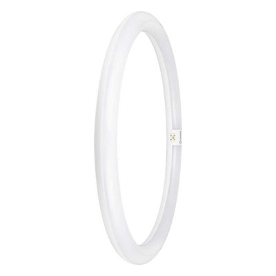 Ledvance LEDTUBE T9 Circular 24W 4-Pin Value Class Cool White Frosted