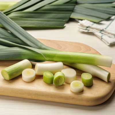 Leek Porruum Santora F1 Rust-Resistant Winter Hardy Vegetable Seeds for ...