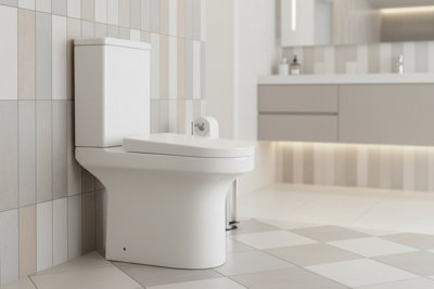 Leigh Rimless Close Coupled WC Compact Dual Flush Toilet with Soft ...