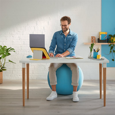 Leitz Ergonomic Sitting Gym Ball Calm Blue | DIY at B&Q