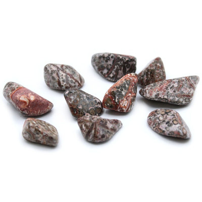 Leopard Skin Large Tumble Stones - 24 Pack
