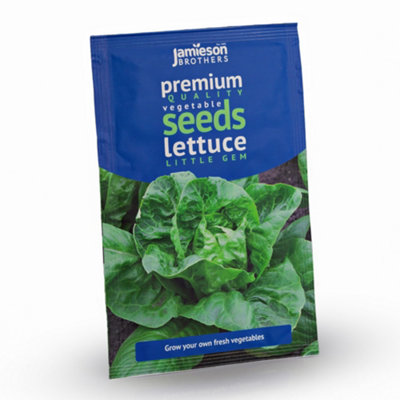 Lettuce Little Gem Vegetable Seeds (Approx. 800 seeds) by Jamieson ...