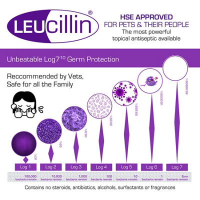 Leucillin Antiseptic Skin Care Spray 250ml