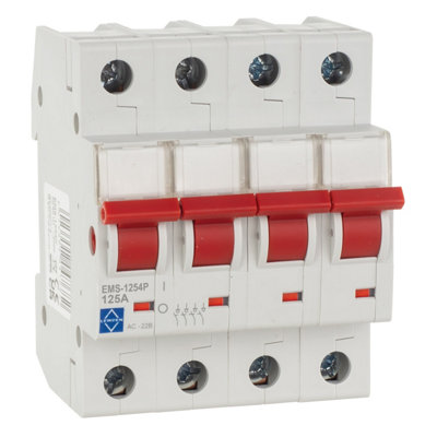 Lewden EMS-1254P 125A 4 Pole Main Switch