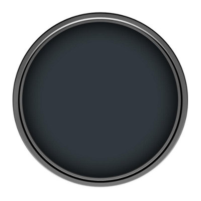 Leyland Trade Vinyl Matt Walls & Ceilings Emulsion Paint Black Blue ...