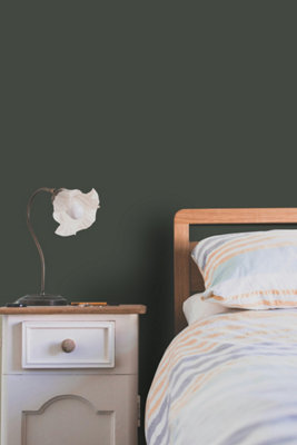 Leyland Trade Vinyl Matt Walls & Ceilings Emulsion Paint Black Olive ...