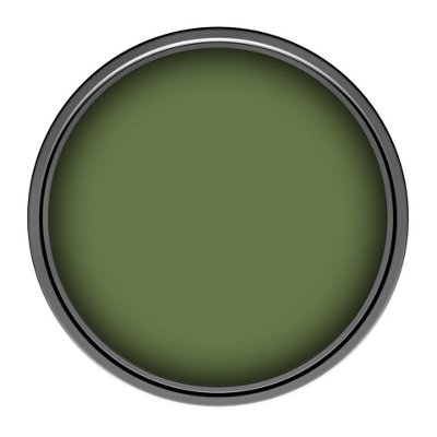 Leyland Trade Vinyl Matt Walls & Ceilings Emulsion Paint Fern Green ...