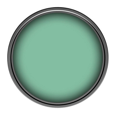 Leyland Trade Vinyl Matt Walls & Ceilings Emulsion Paint Green Balloon ...