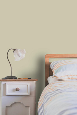 Leyland Trade Vinyl Matt Walls & Ceilings Emulsion Paint Green Caress ...