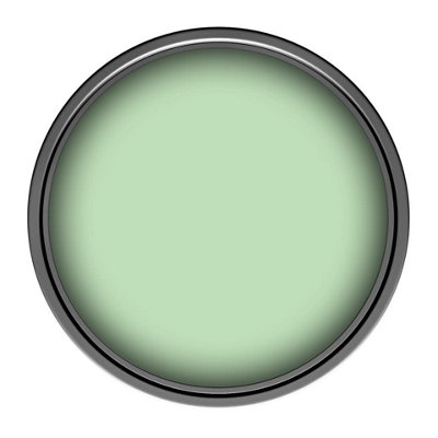 Leyland Trade Vinyl Matt Walls & Ceilings Emulsion Paint Green ...