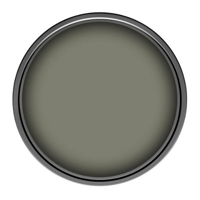 Leyland Trade Vinyl Matt Walls & Ceilings Emulsion Paint Moss Grey (RAL ...