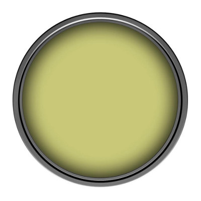 Leyland Trade Vinyl Matt Walls & Ceilings Emulsion Paint Mustard Green ...
