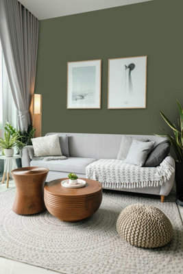 LEYLAND TRADE VINYL MATT WALLS & CEILINGS EMULSION PAINT OLIVE GREEN ...