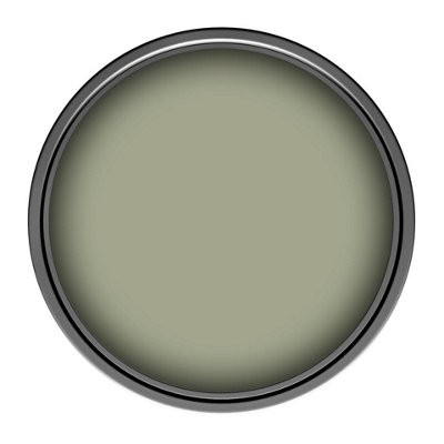 LEYLAND TRADE VINYL MATT WALLS & CEILINGS EMULSION PAINT OLIVE SPRIG ...