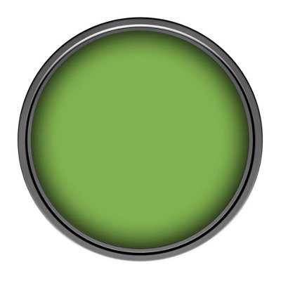 Leyland Trade Vinyl Matt Walls & Ceilings Emulsion Paint Paddy Field ...