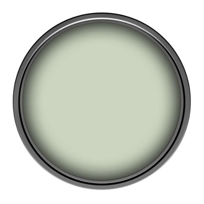 LEYLAND TRADE VINYL MATT WALLS & CEILINGS EMULSION PAINT PALE MOSS ...