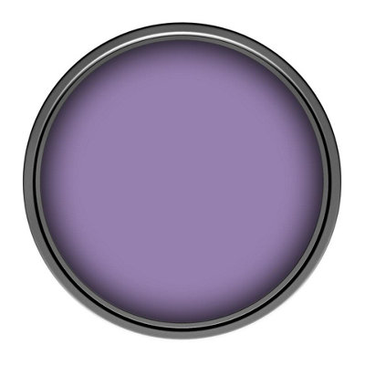 Leyland Trade Vinyl Matt Walls & Ceilings Emulsion Paint Purple Statice ...