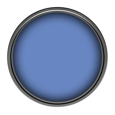 Leyland Trade Vinyl Matt Walls & Ceilings Emulsion Paint Violets are ...