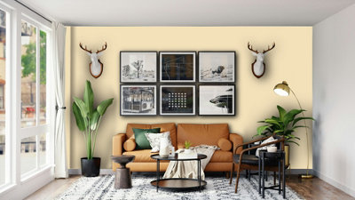 Leyland Trade Vinyl Silk Walls & Ceilings Emulsion Paint Custard ...