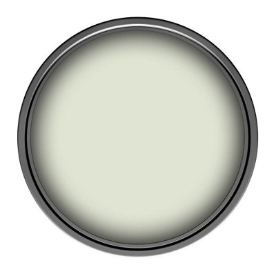Leyland Trade Vinyl Silk Walls & Ceilings Emulsion Paint Hint of Pine ...