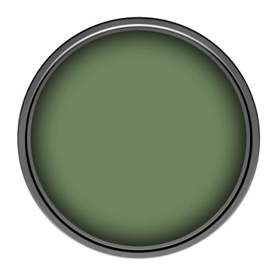 Leyland Trade Vinyl Silk Walls & Ceilings Emulsion Paint Moss Ring ...