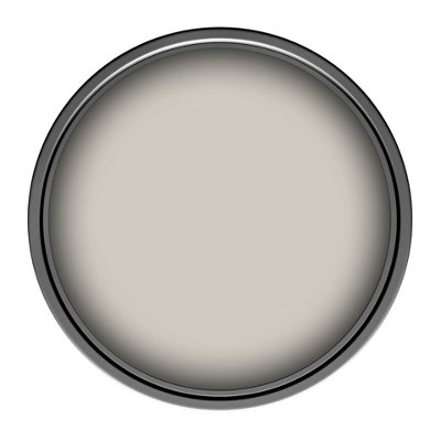 Leyland Trade Vinyl Soft Sheen Walls & Ceilings Emulsion Paint Gray ...