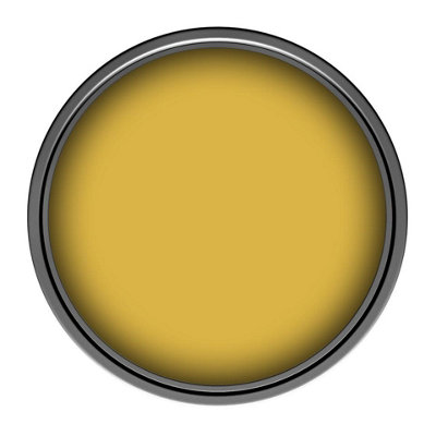 Leyland Trade Vinyl Soft Sheen Walls & Ceilings Emulsion Paint Indian ...