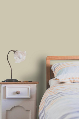 Leyland Trade Vinyl Soft Sheen Walls & Ceilings Emulsion Paint Only ...