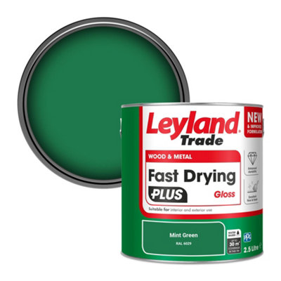 Leyland Trade Wood & Metal Fast Drying PLUS Gloss Paint Mint Green (RAL ...