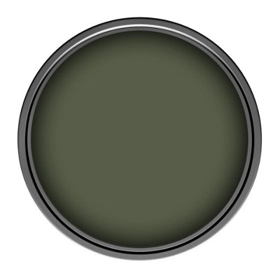 LEYLAND TRADE WOOD & METAL HIGH GLOSS PAINT OLIVE GREEN (RAL 6003) 1L