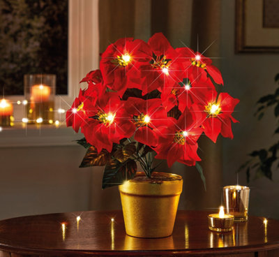 Light-Up Potted Poinsettia Arrangement, Battery Operated, Warm White ...