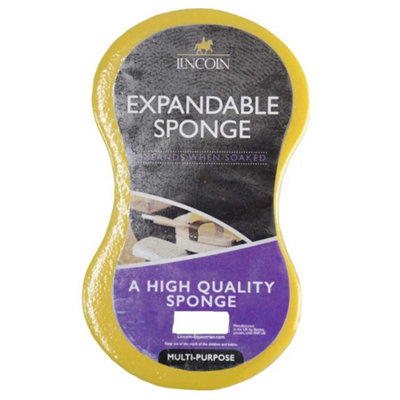 Lincoln Expandable Sponge Yellow (One Size)